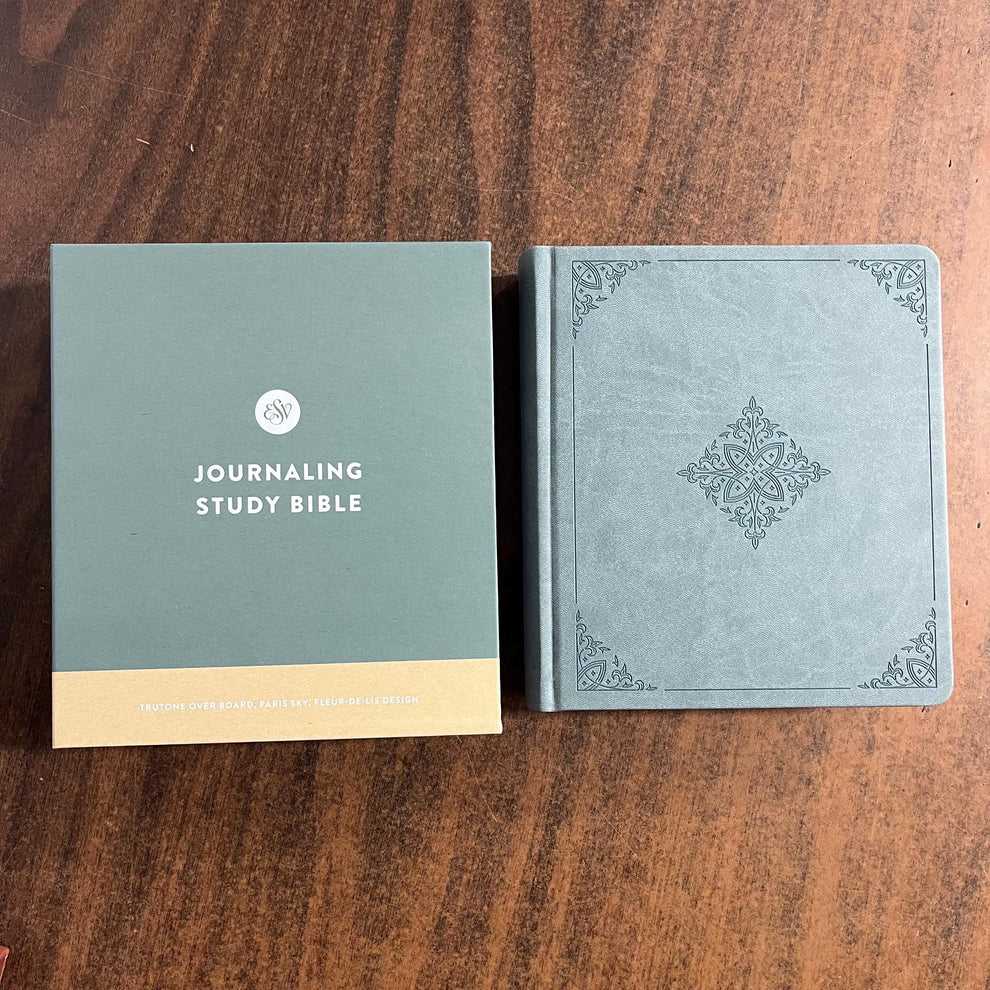 Personalized ESV Journaling Study Bible - Paris Sky Trutone over Board ...